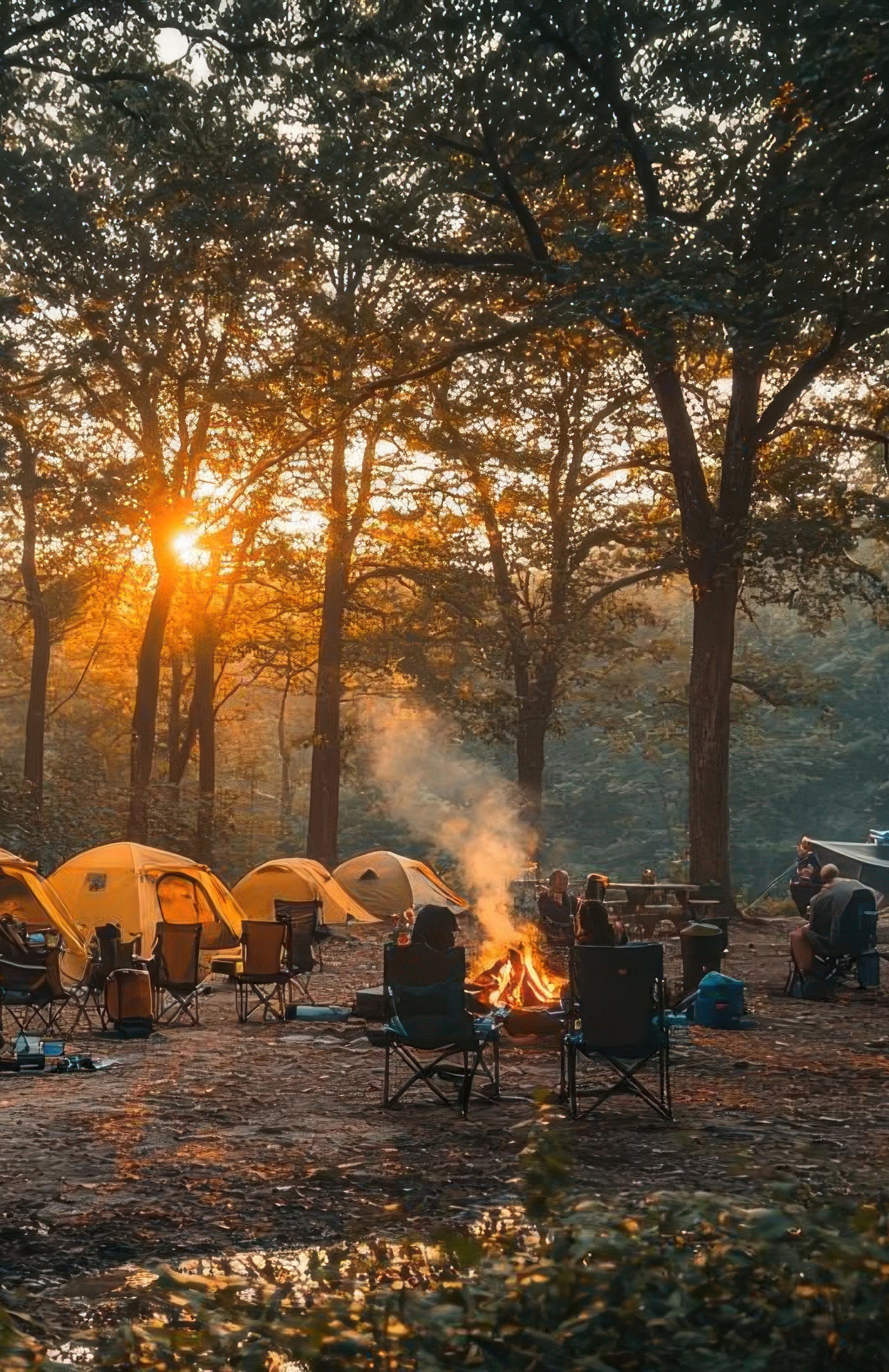 Eco-Friendly Natural Tick & Insect Repellents | PureGard